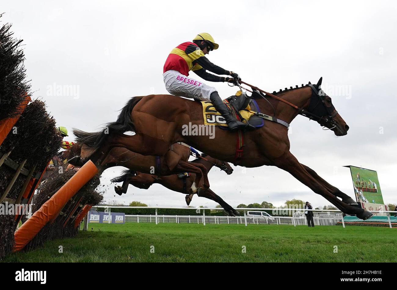 Knight salute horse hi-res stock photography and images - Alamy