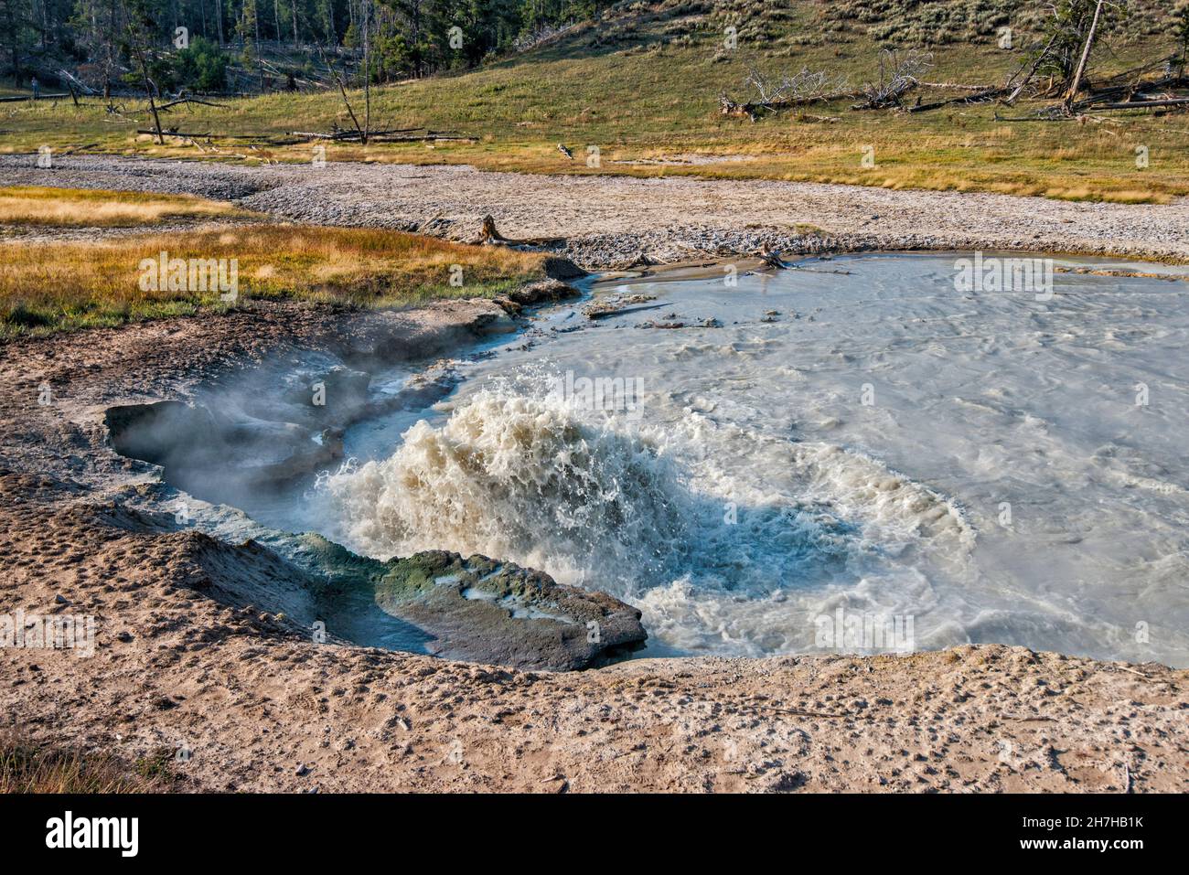Hot water roiling at Churning Caldron, hot spring in Mud Volcano ...