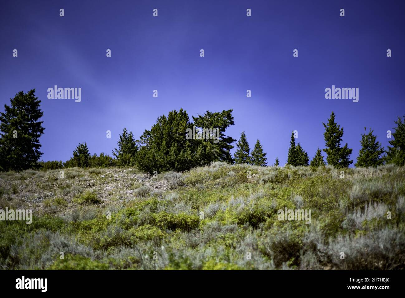 Landscape of forested mountains in the evening Stock Photo - Alamy
