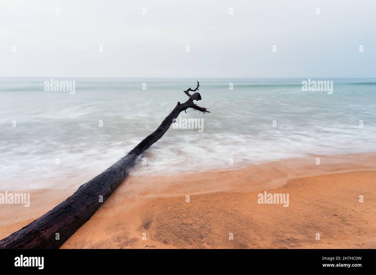 Galgibaga Beach - Goa, India Minimalist beach Stock Photo - Alamy
