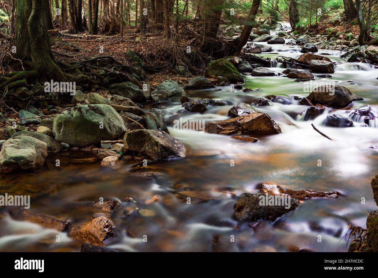 Beautiful view of the flowing rocky river in the forest in Germany ...