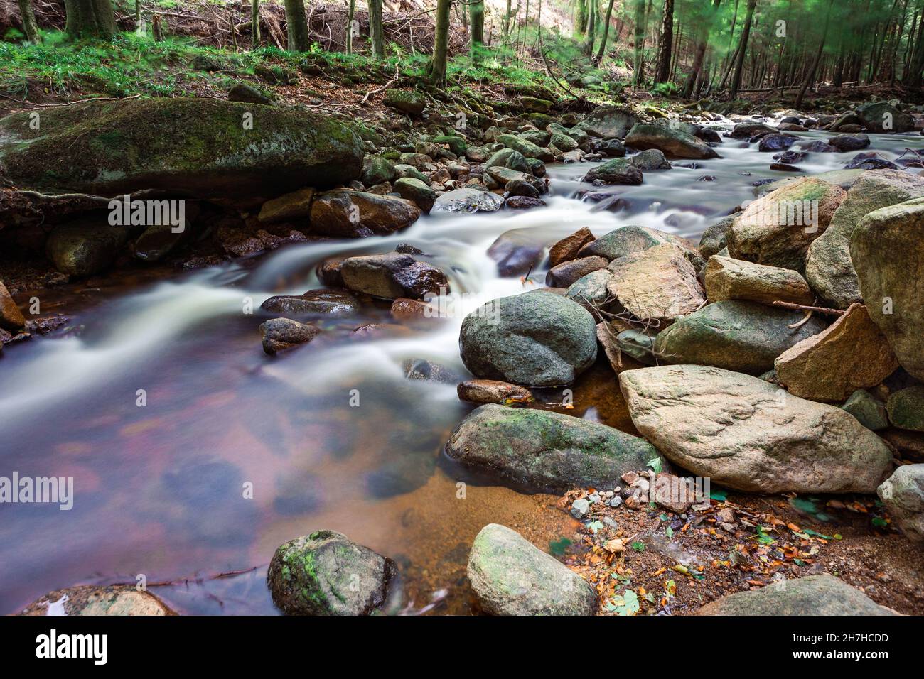 Beautiful view of the flowing rocky river in the forest in Germany ...