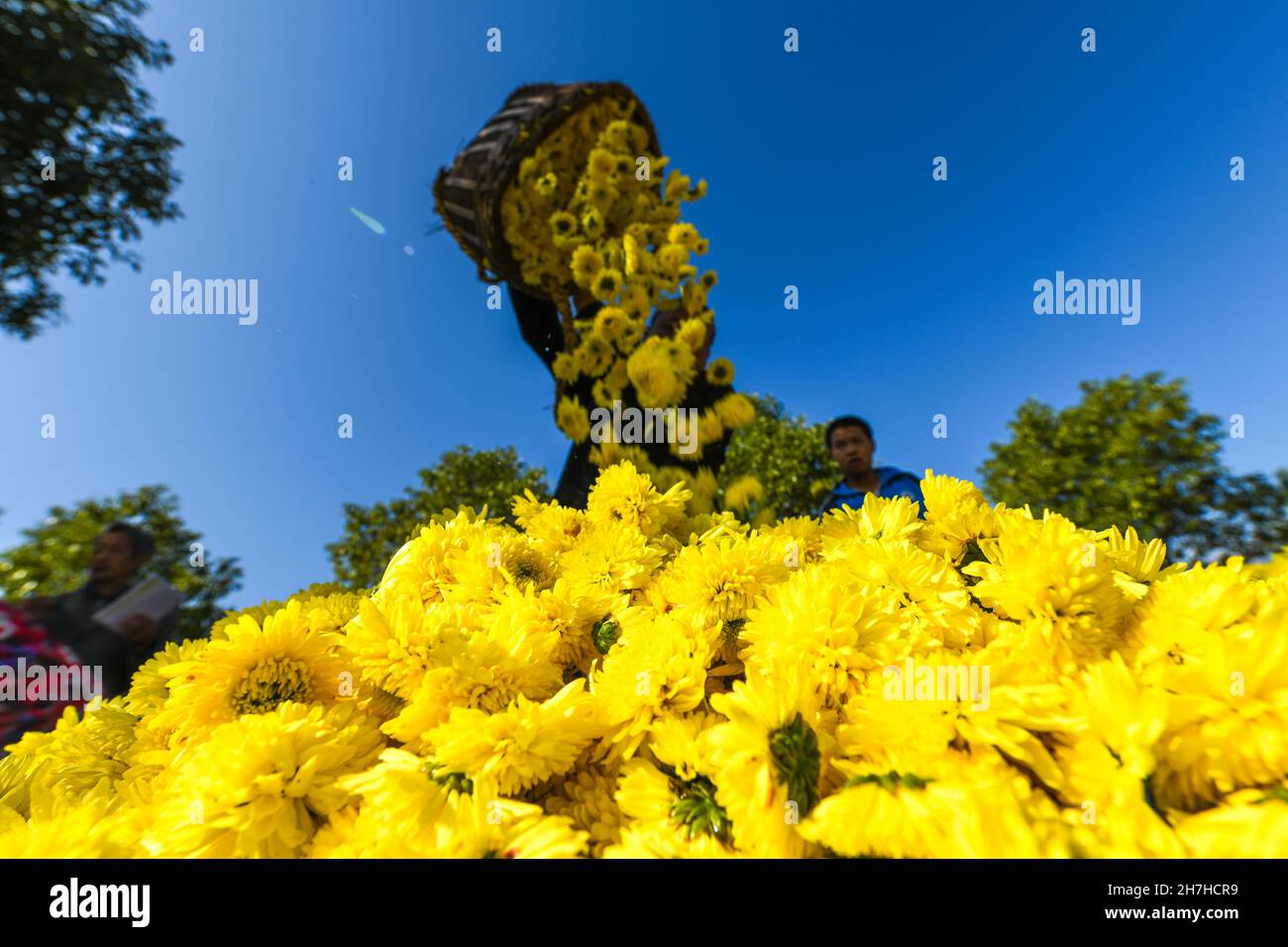 Qianjia hi-res stock photography and images - Alamy