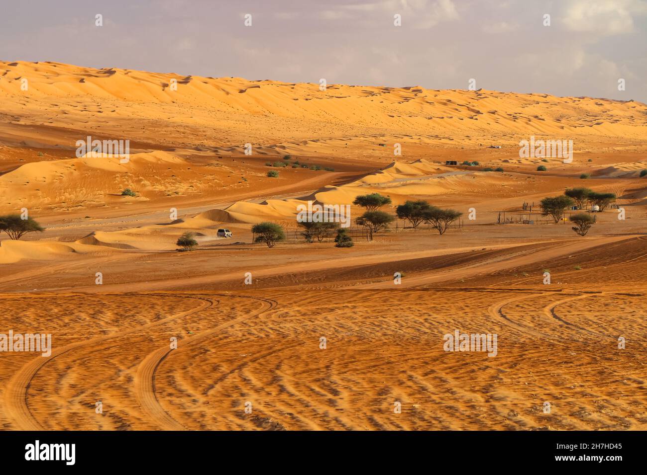 The Rub al-Khali desert in Oman is one of the largest sandy deserts on ...