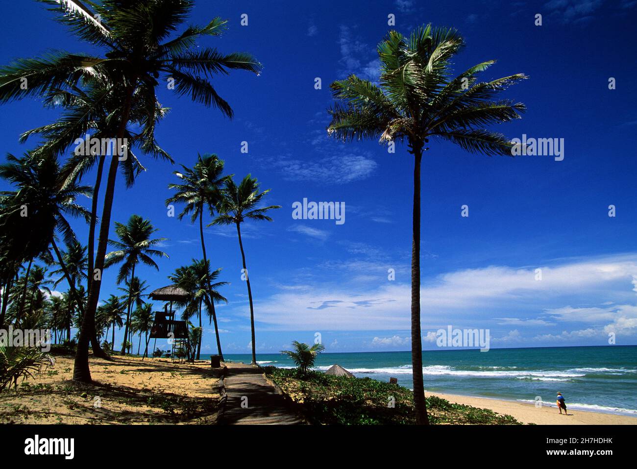 BRAZIL, BAHIA STATE, PRAIA DE FORTE, BEACH Stock Photo - Alamy