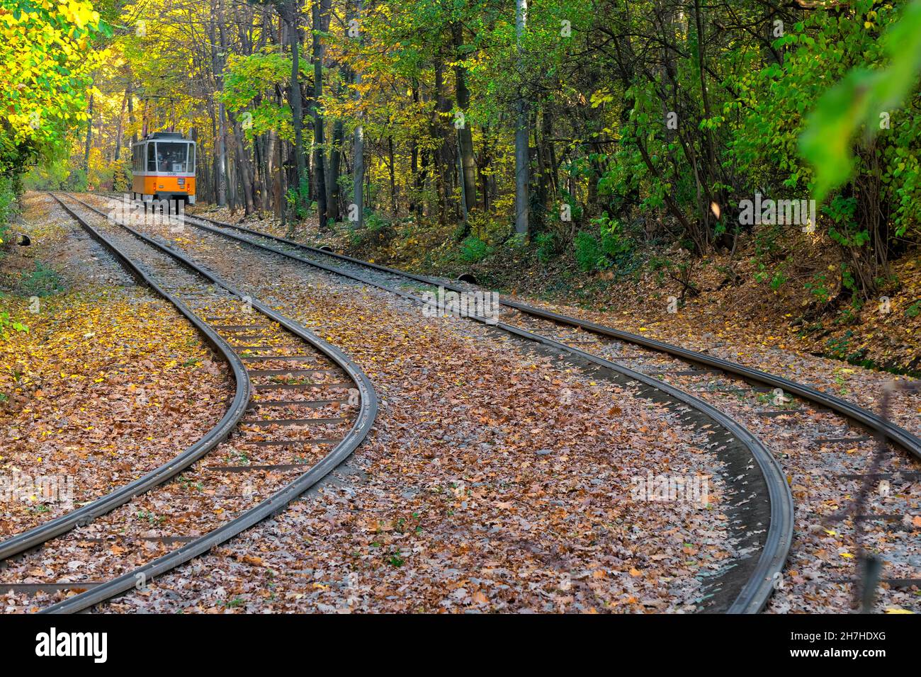 tram road through autumn forest with tram,Sofia,Bulgaria,Europe Stock ...