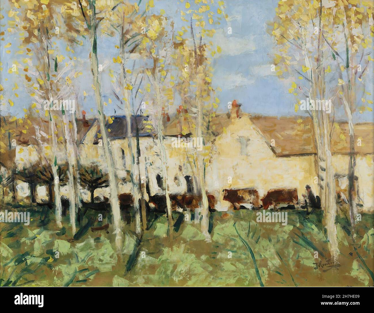 Misy hi-res stock photography and images - Alamy