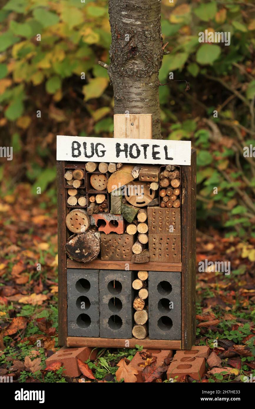 Bug hotel in Shropshire, England, UK Stock Photo - Alamy