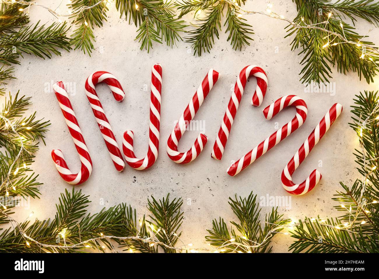 Sweet candy canes with fur tree decorations and christmas lights Stock ...