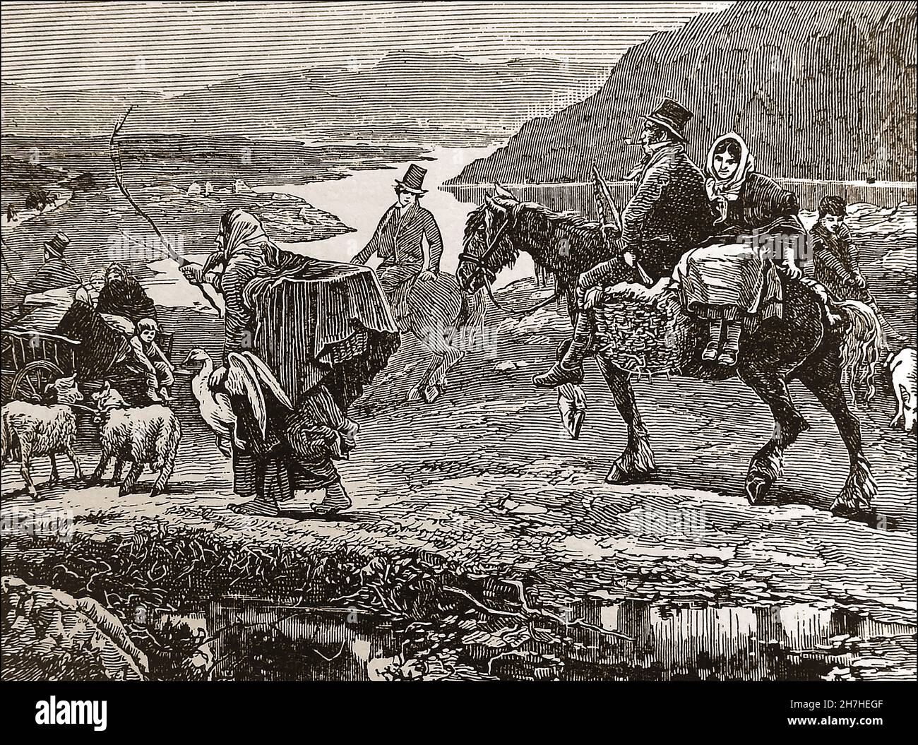 Farming in ireland in 1800s hi-res stock photography and images - Alamy