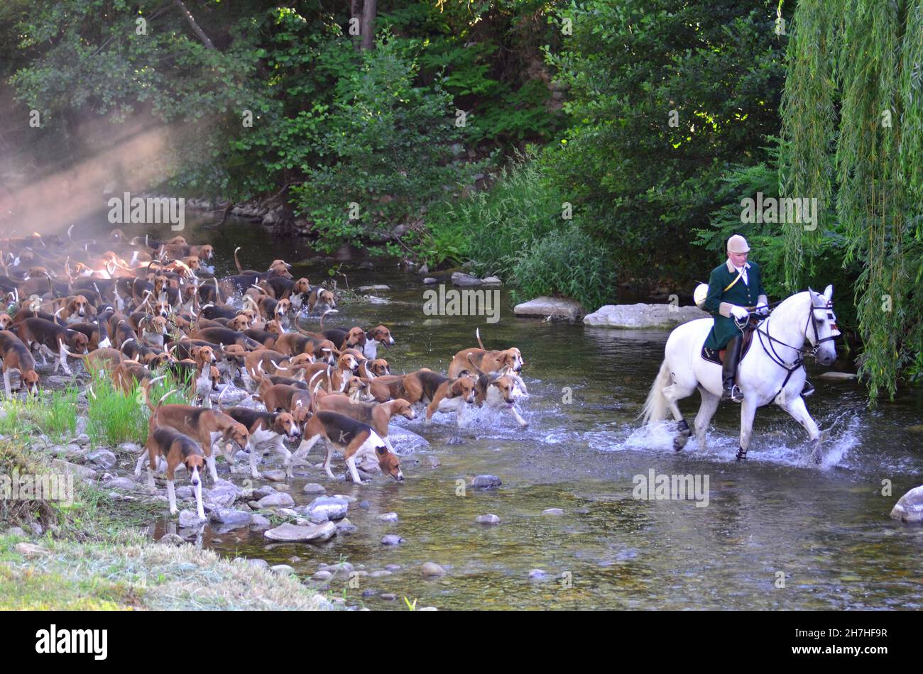 FRANCE. HUNTING. THERE IS AROUND 1.3 MILLION OF HUNTERS IN FRANCE AND ...
