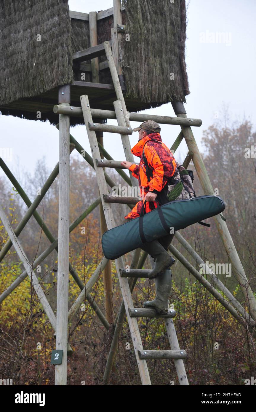FRANCE. HUNTER CLIMBING A HUNT PLATFORM WITH HIS GUN IN A CASE FOR ...