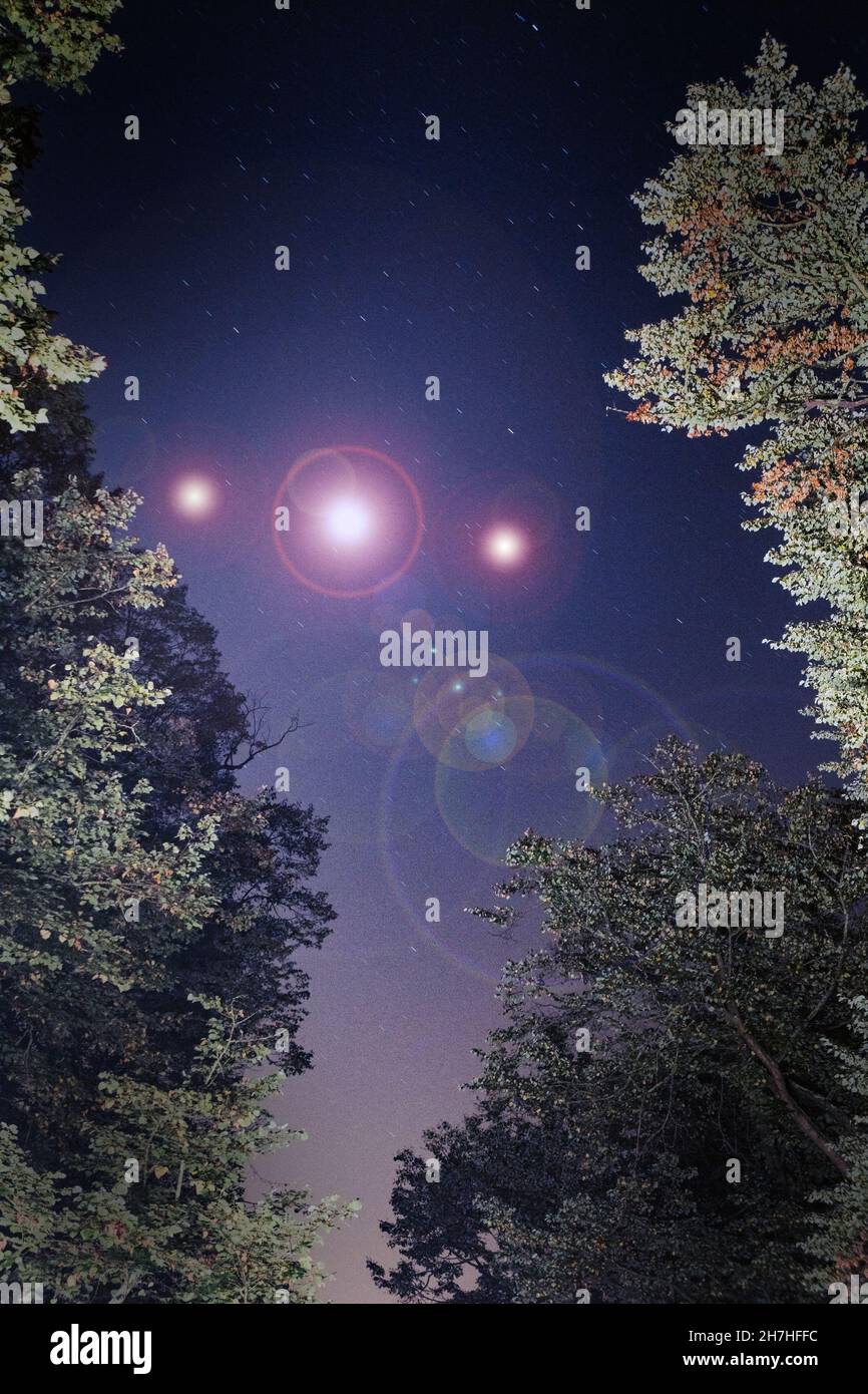 UFO concept. Glowing orbs, floating above trees in the night sky. With ...