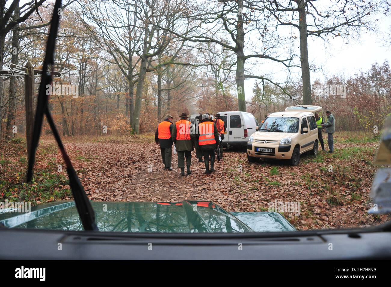Hunt in the forest hi-res stock photography and images - Alamy