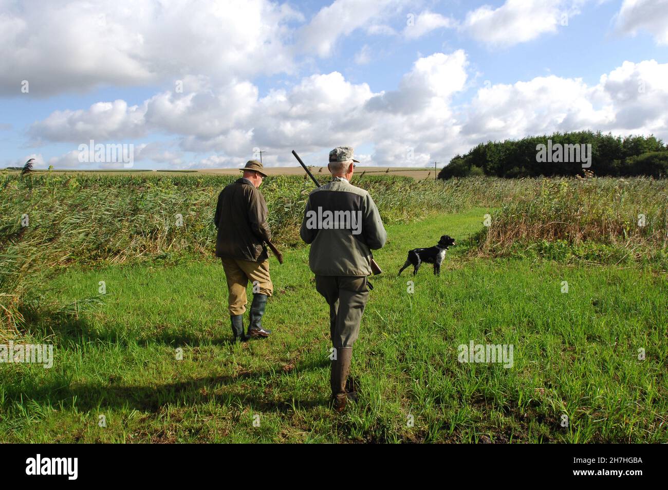 SOMME (80). HUNTERS WITH A DOG IN A MARSH Stock Photo - Alamy