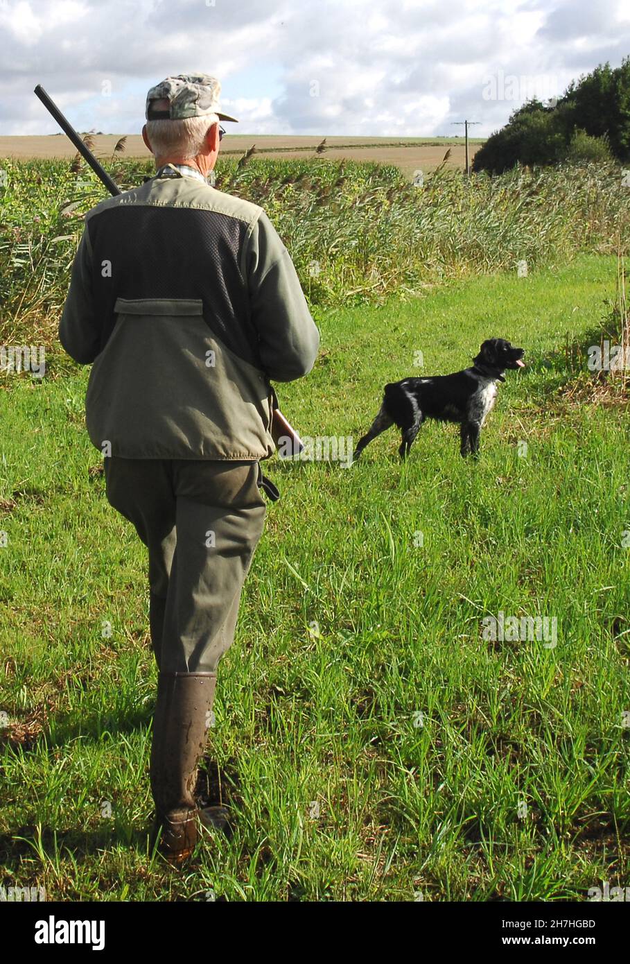 Hunter marsh hi-res stock photography and images - Alamy