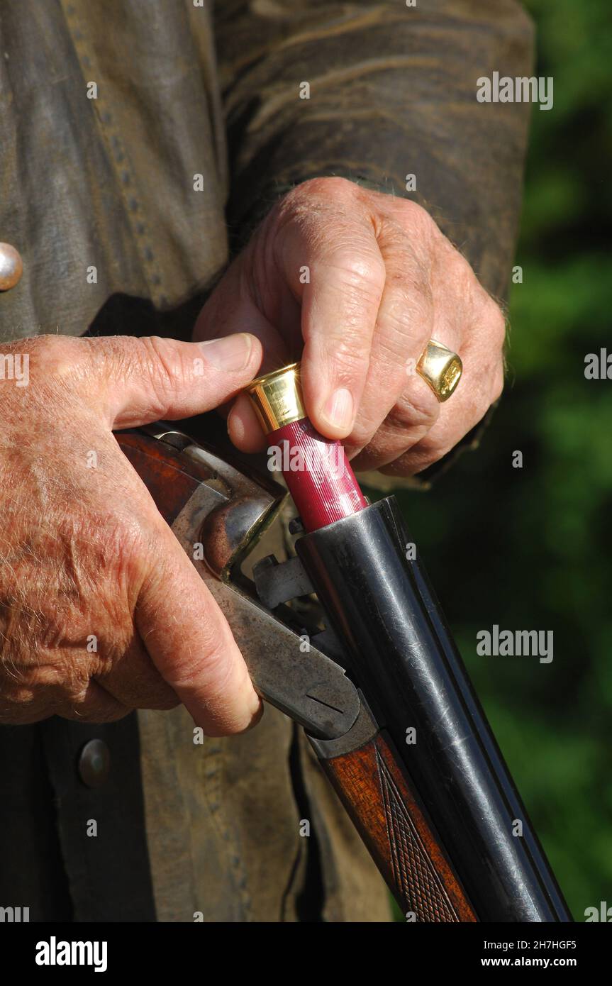 FRANCE. HUNTER LOADING HIS GUN WITH CARTRIDGES FOR SMALL GAME Stock ...