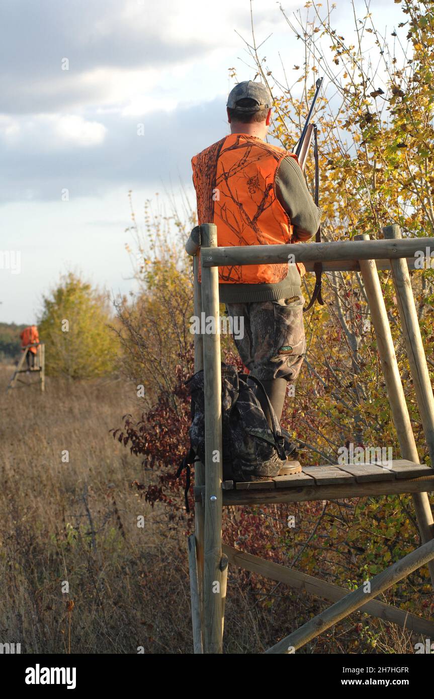 FRANCE. HUNTER ON A HUNTING PLATFORM DURING A BIG GAME HUNT Stock Photo ...
