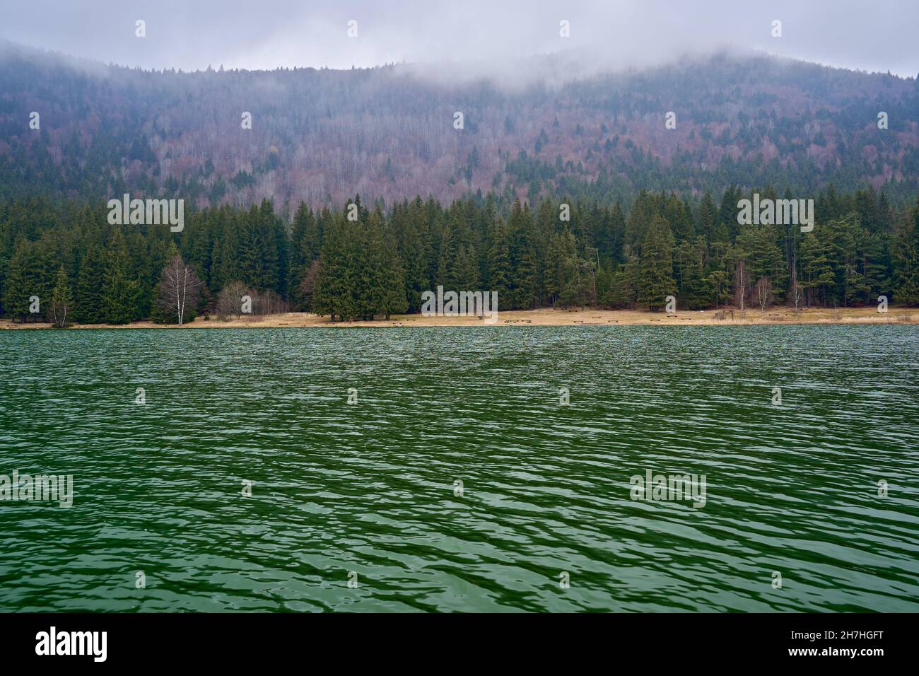 Saint Ana, the only volcanic lake in Romania, formed in the caldera of ...