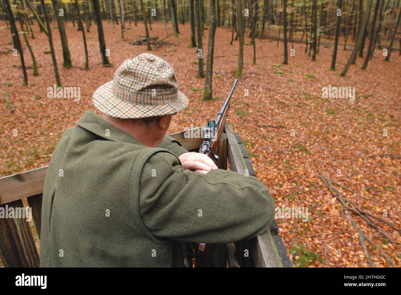 Hunt in the forest hi-res stock photography and images - Alamy