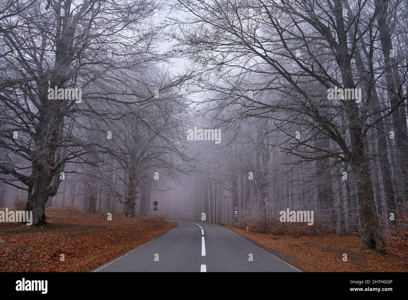 Freezing fog road in morning hi-res stock photography and images - Alamy