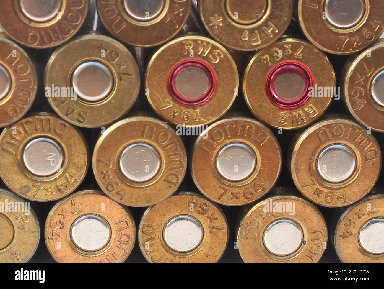 HUNTING. BOX OF BULLETS FOR BIG GAME HUNTIND Stock Photo - Alamy