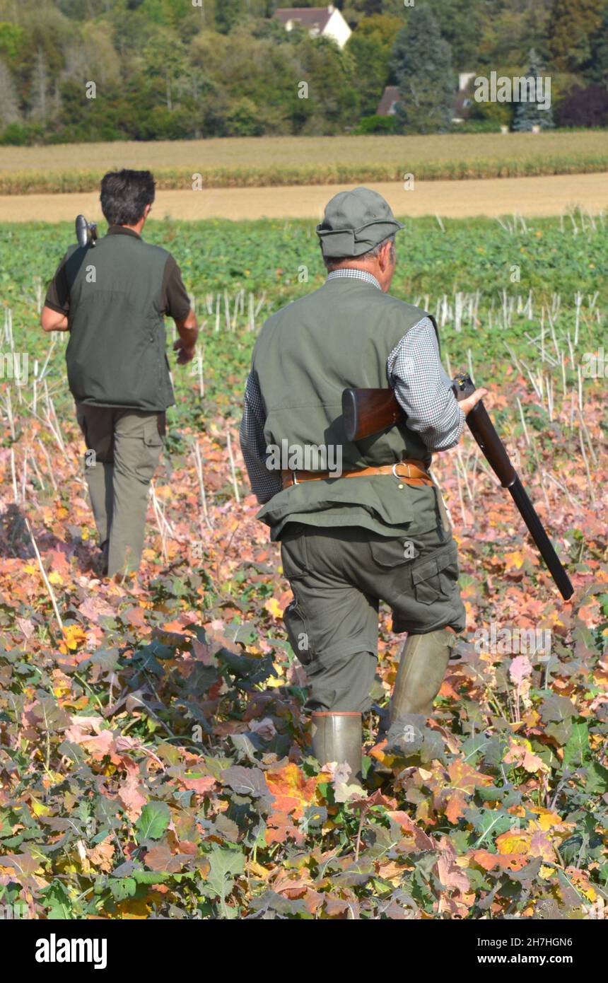 FRANCE. HUNTERS DURING A SMALL GAME HUNT ON OPEN FIELD Stock Photo - Alamy