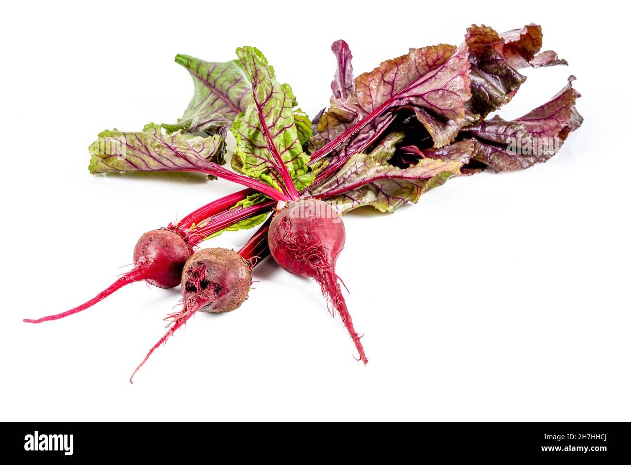 Red radish seedling Cut Out Stock Images & Pictures - Alamy