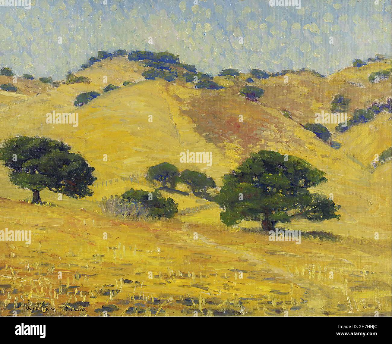 William Silva - The Golden Hills of California Stock Photo - Alamy