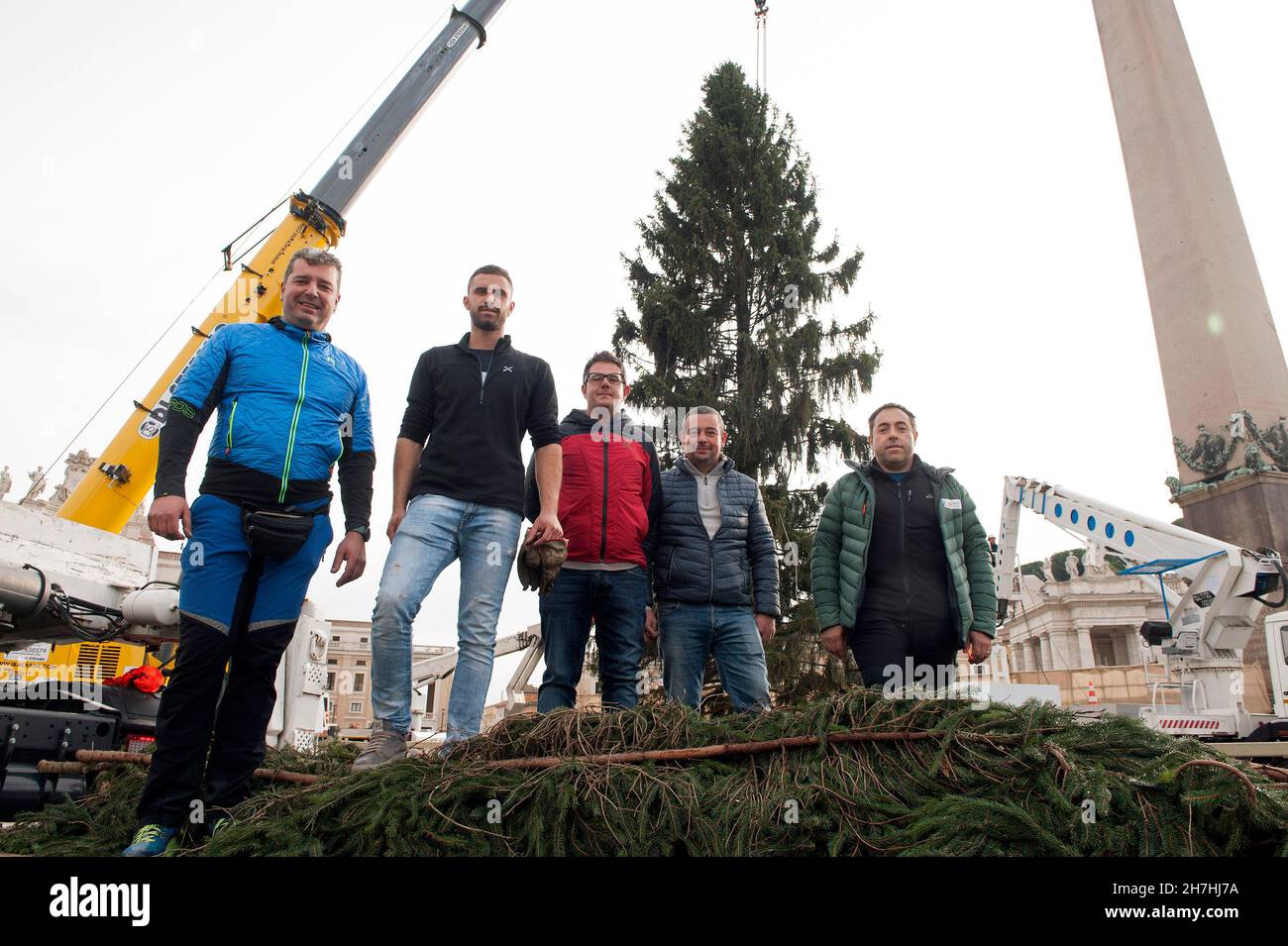 Crane lifts tree hi-res stock photography and images - Alamy
