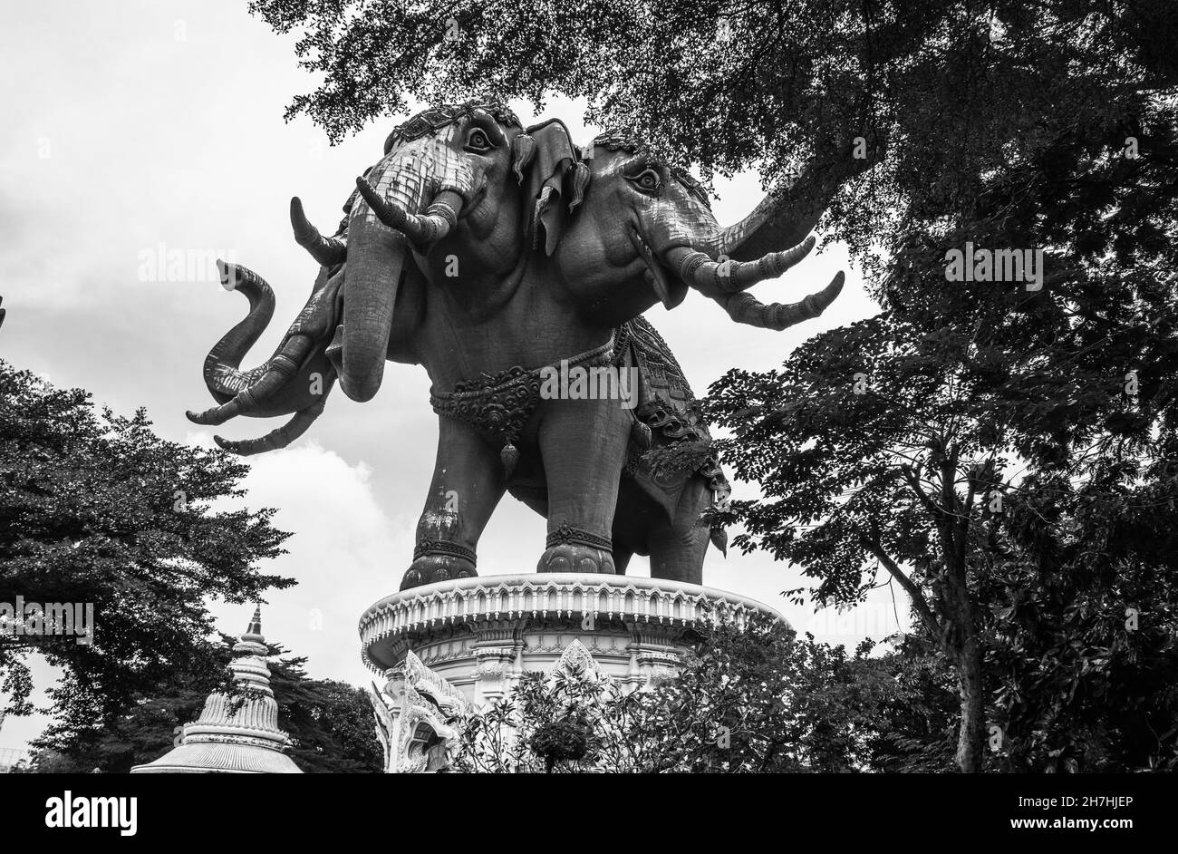 Blog head Black and White Stock Photos & Images - Alamy