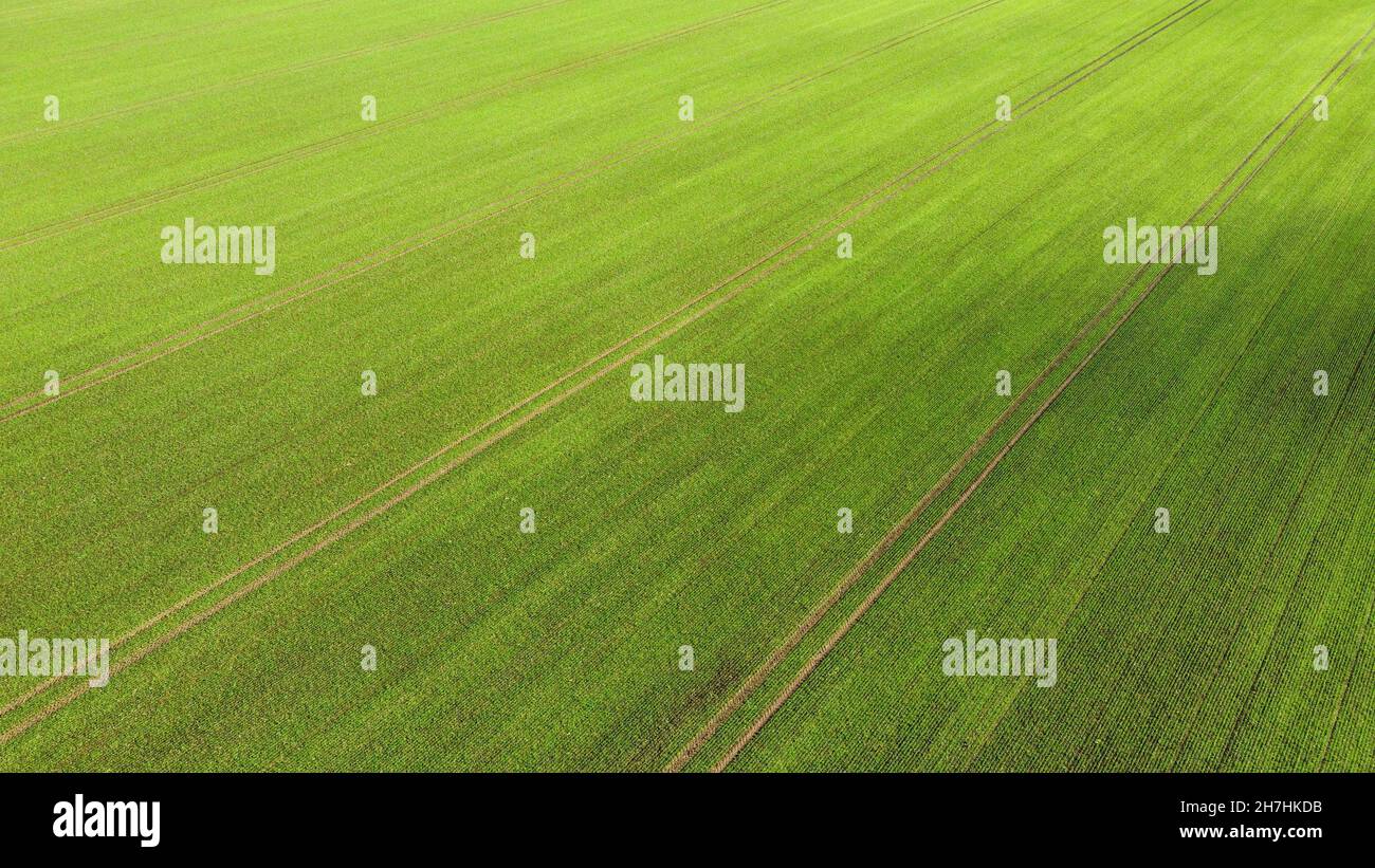 Aerial view of the grassy big field in the countryside Stock Photo - Alamy