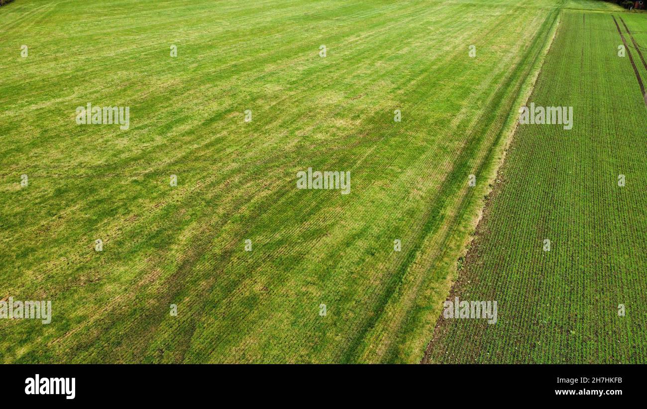 Aerial view of the grassy big field in the countryside Stock Photo - Alamy