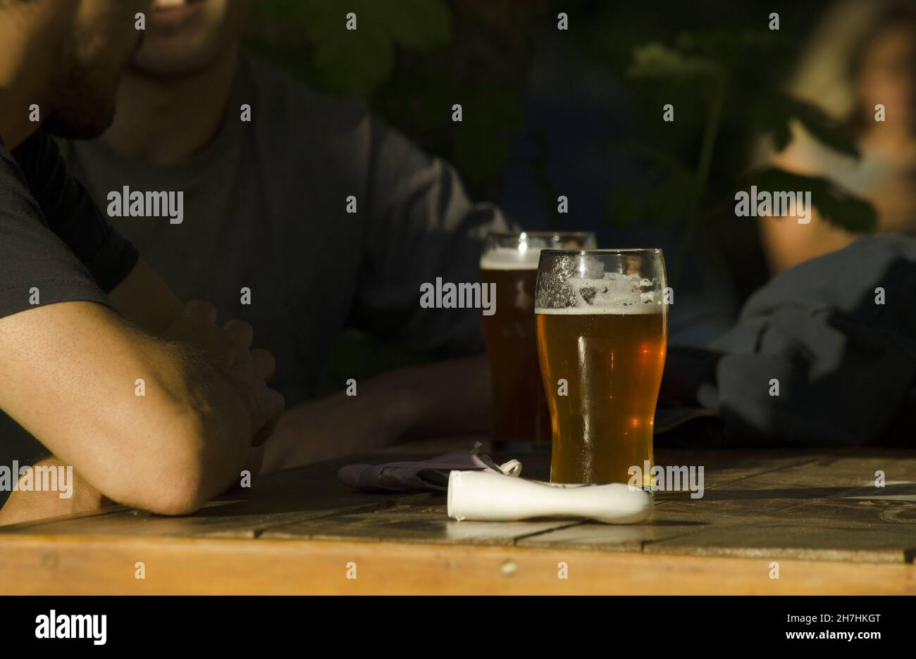Friends drinking craft beer in the beer park. two friends drinking ...