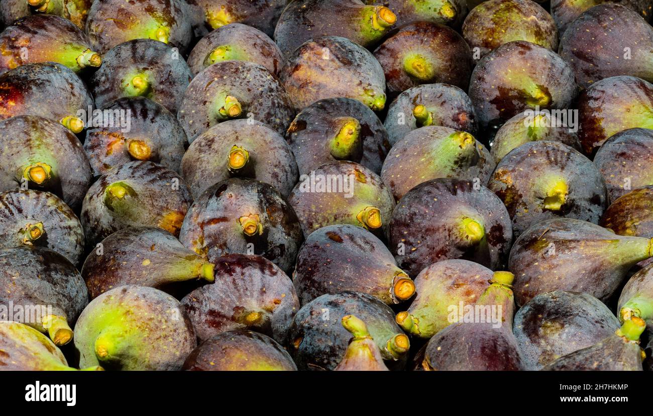 Group of figs hi-res stock photography and images - Alamy