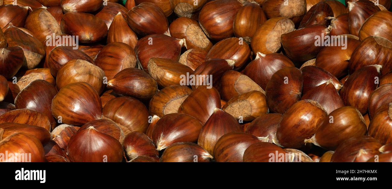 Group of chestnuts in banner format Stock Photo - Alamy