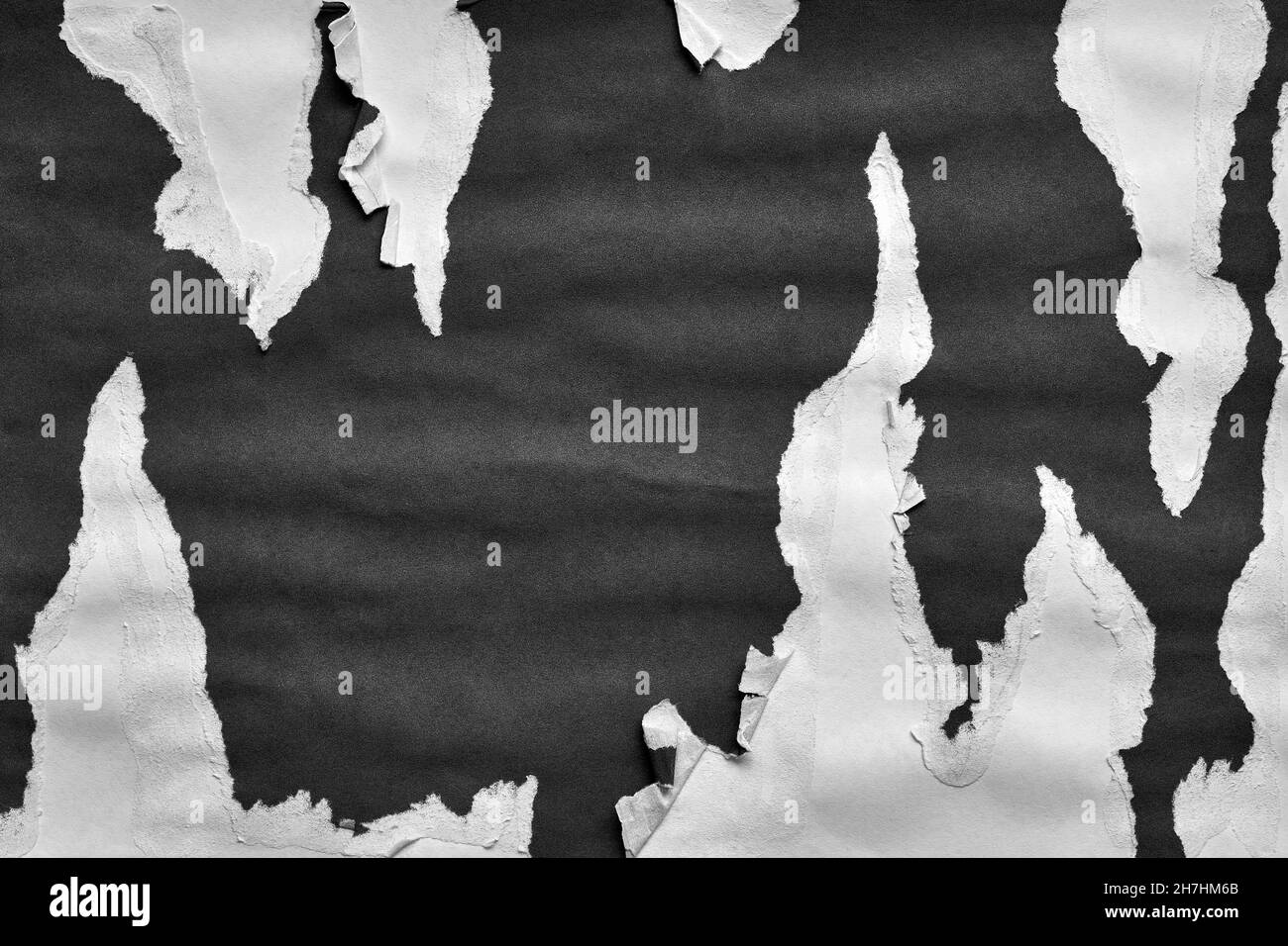 Black and White Torn Paper Collage Style, Ripped Paper Effect, Texture ...