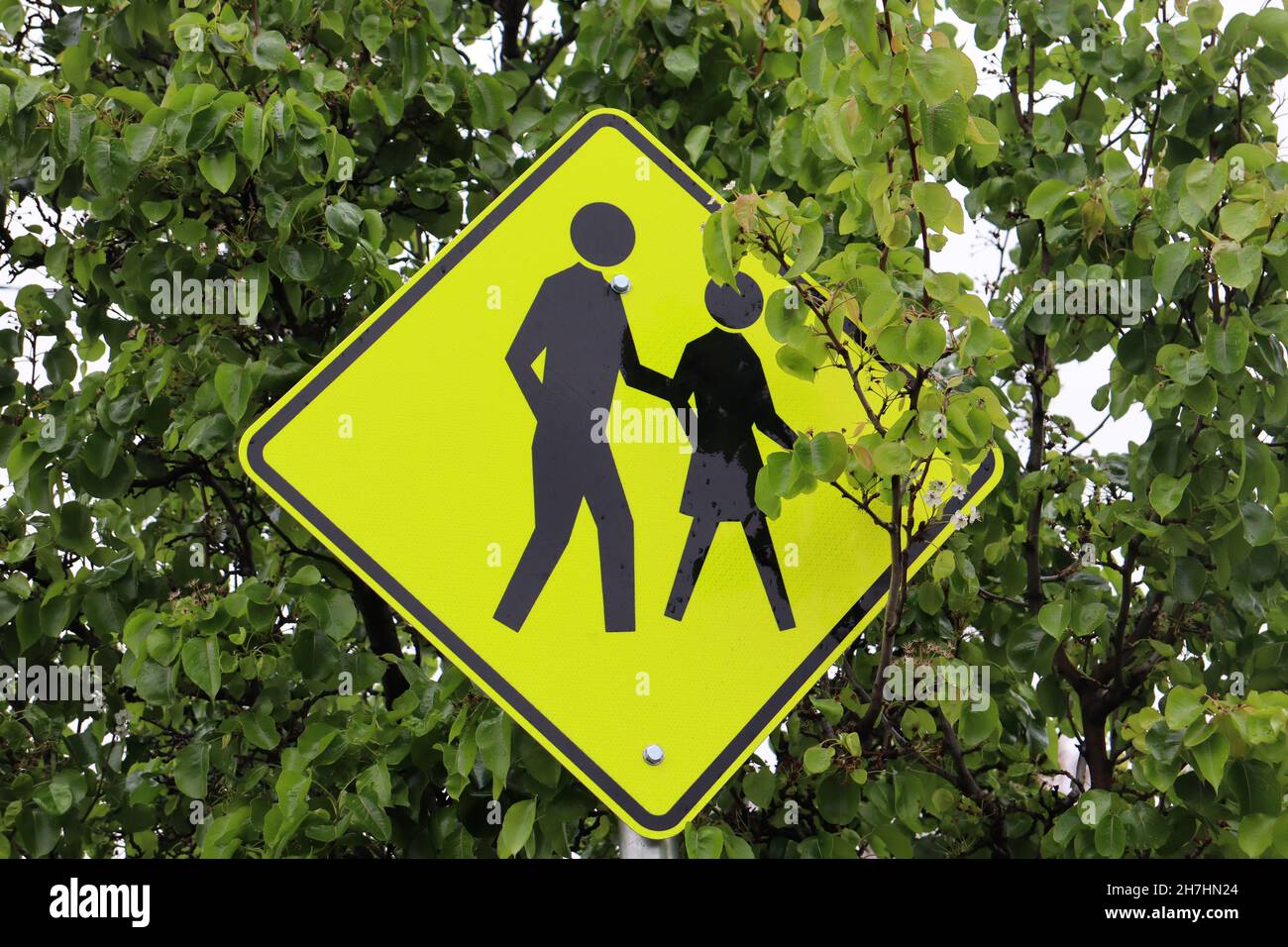 Closeup shot of a school warning sign Stock Photo - Alamy