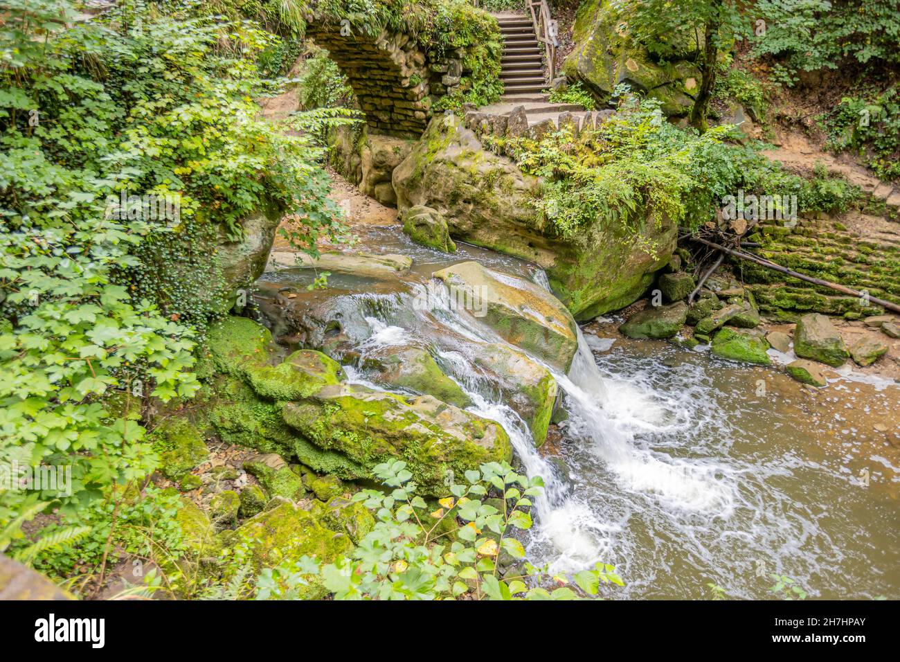 Black Ernz river among wild vegetation, Schiessentümpel waterfall seen ...