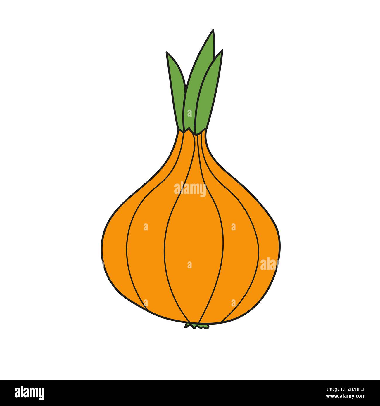 Simple cartoon icon. Whole fresh onion and slice. Vector illustration ...