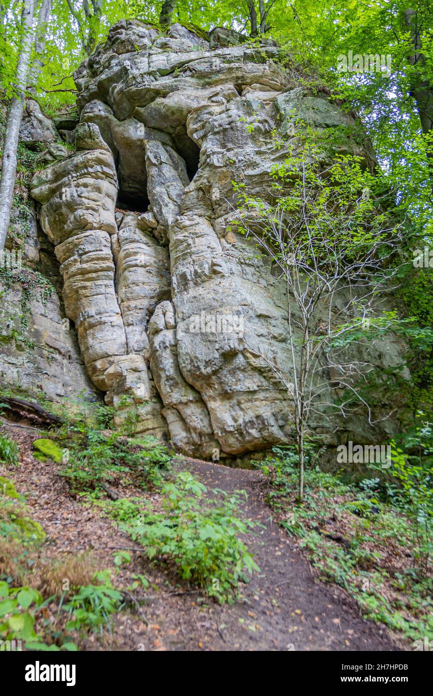 Huge sandstone rock formation on a hill surrounded by greenery and ...
