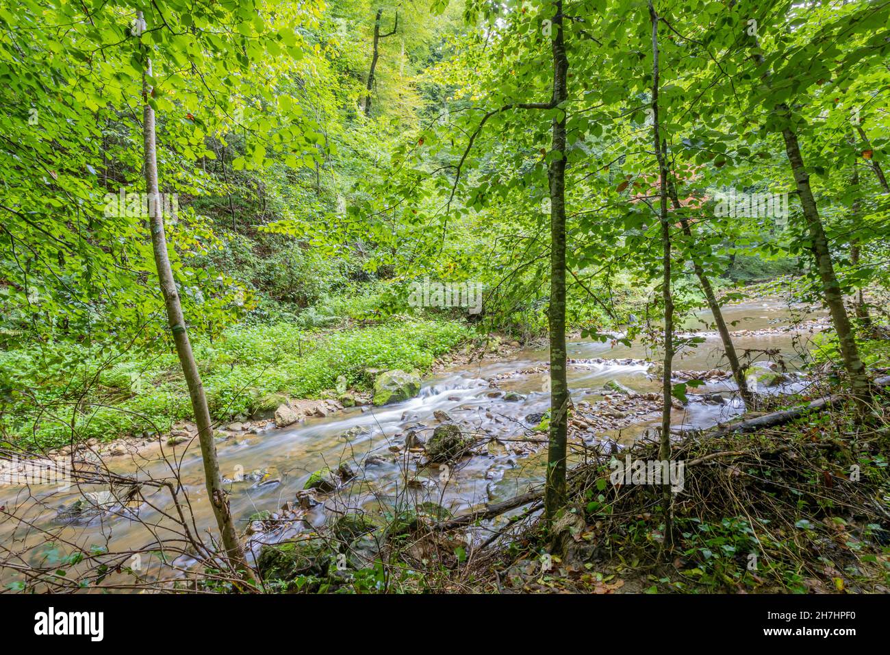 Crystal clear water flowing over the stones in the Black Ernz river ...