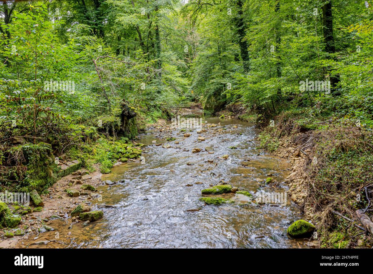 Black Ernz river with crystal clear water flowing over the stones ...