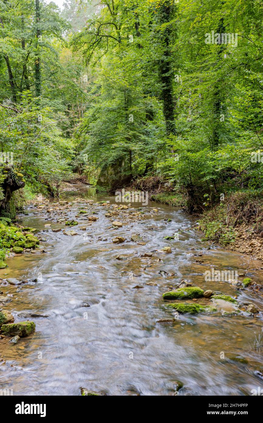 Black Ernz river with crystalline calcareous water flowing between the ...