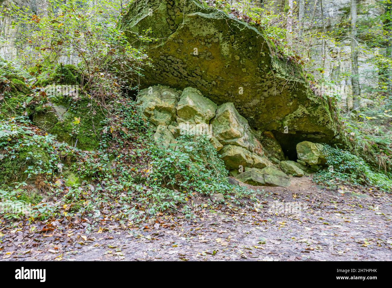 Huge sandstone rock covered with moss and wild vegetation, viewed from ...