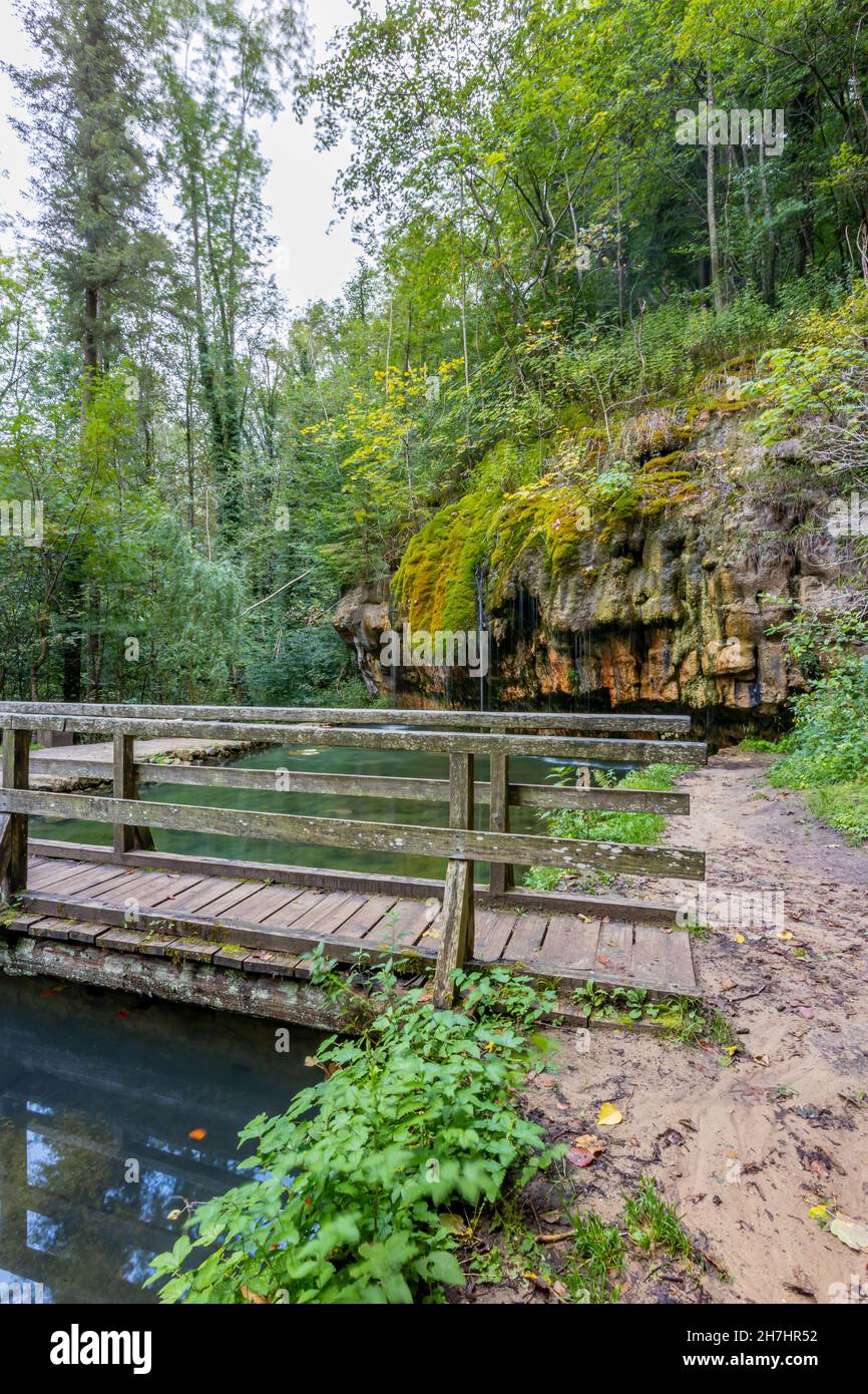 Kallektuffquell waterfall with a wooden bridge over a spring, rock ...