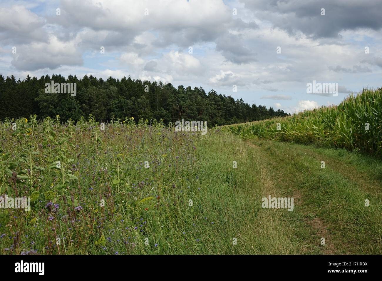 Aufsess hi-res stock photography and images - Alamy
