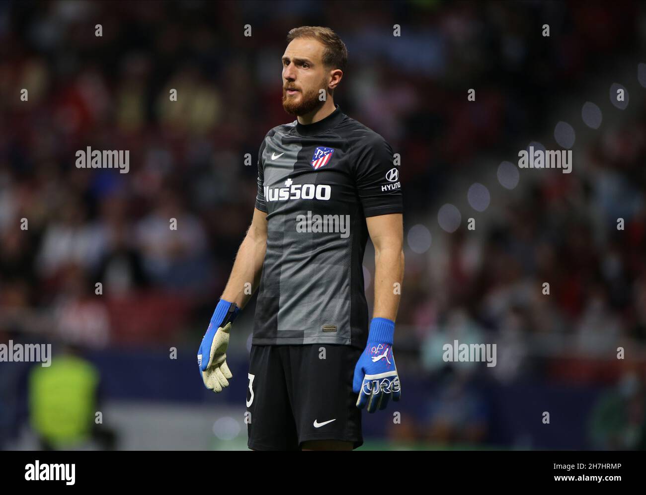 Jan oblak 2021 hi-res stock photography and images - Alamy