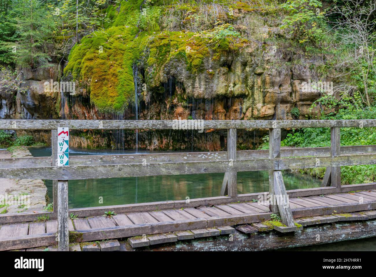 Wooden bridge over a basin on Mullerthal Trail, Kallektuffquell ...