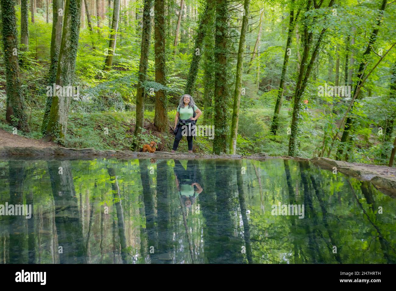 Crystal clear calcareous spring water, stunning mirror reflection of ...